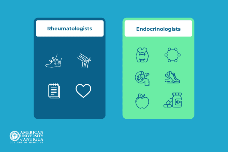 Rheumatologist vs Endocrinologist: Roles, Training, Careers - American ...