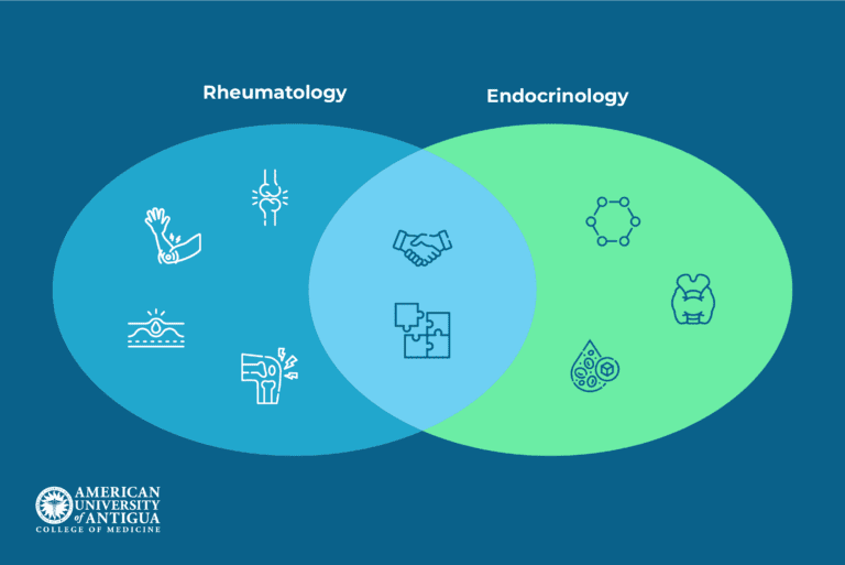 Rheumatologist vs Endocrinologist: Roles, Training, Careers - American ...