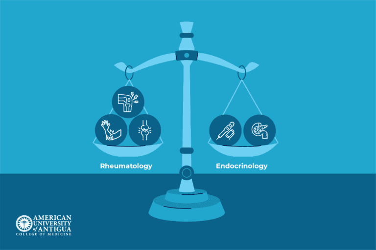 Rheumatologist vs Endocrinologist: Roles, Training, Careers - American ...