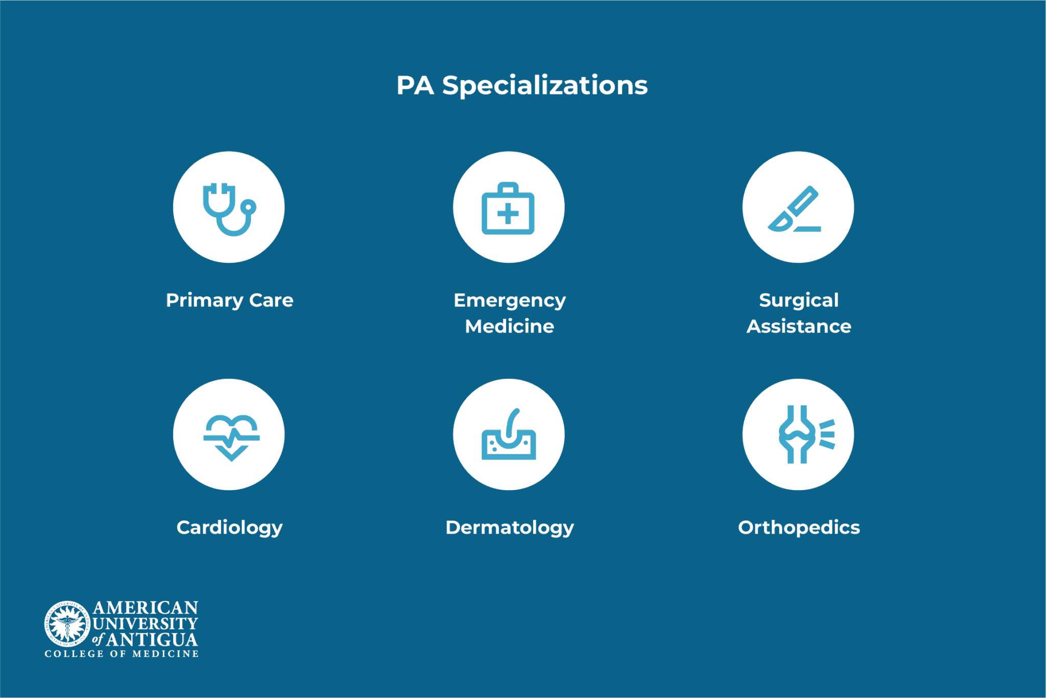 What Is a PA? Responsibilities, Salary, and Career Path - American ...