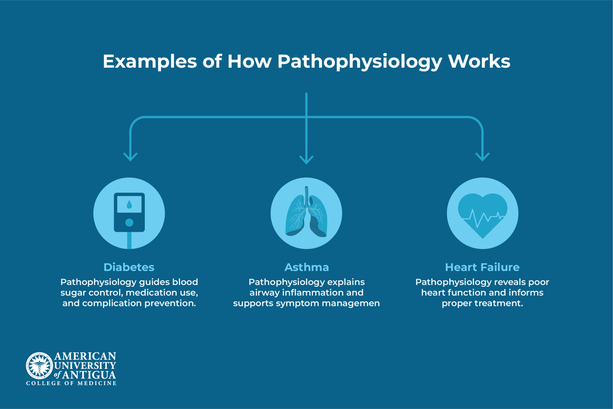 What Is Pathophysiology? Definition, Role & Examples - American ...