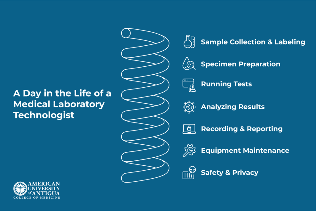 What Is a Medical Laboratory Technologist? Role and Career - American ...
