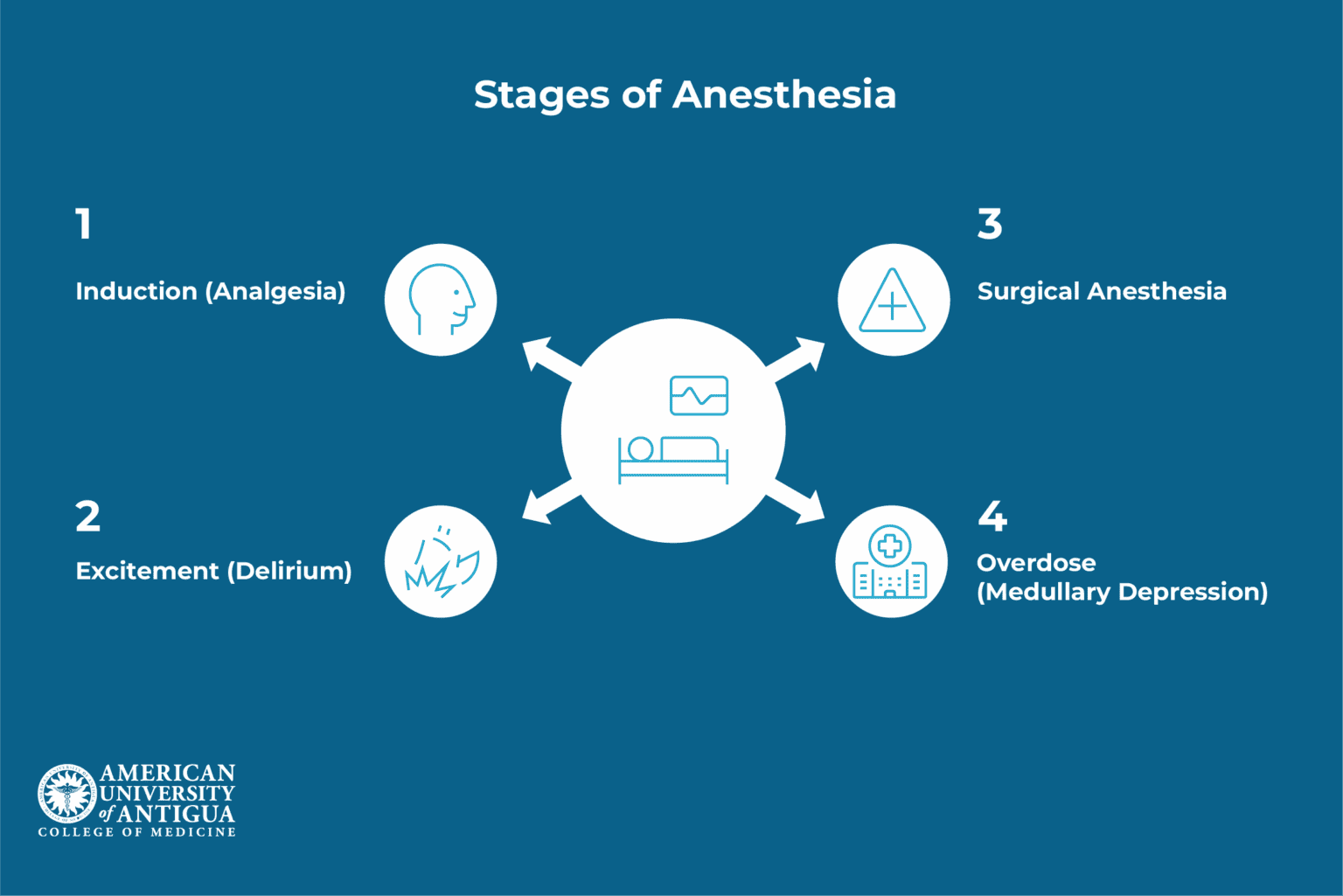 Stages of Anesthesia: From Induction to Recovery - American University ...
