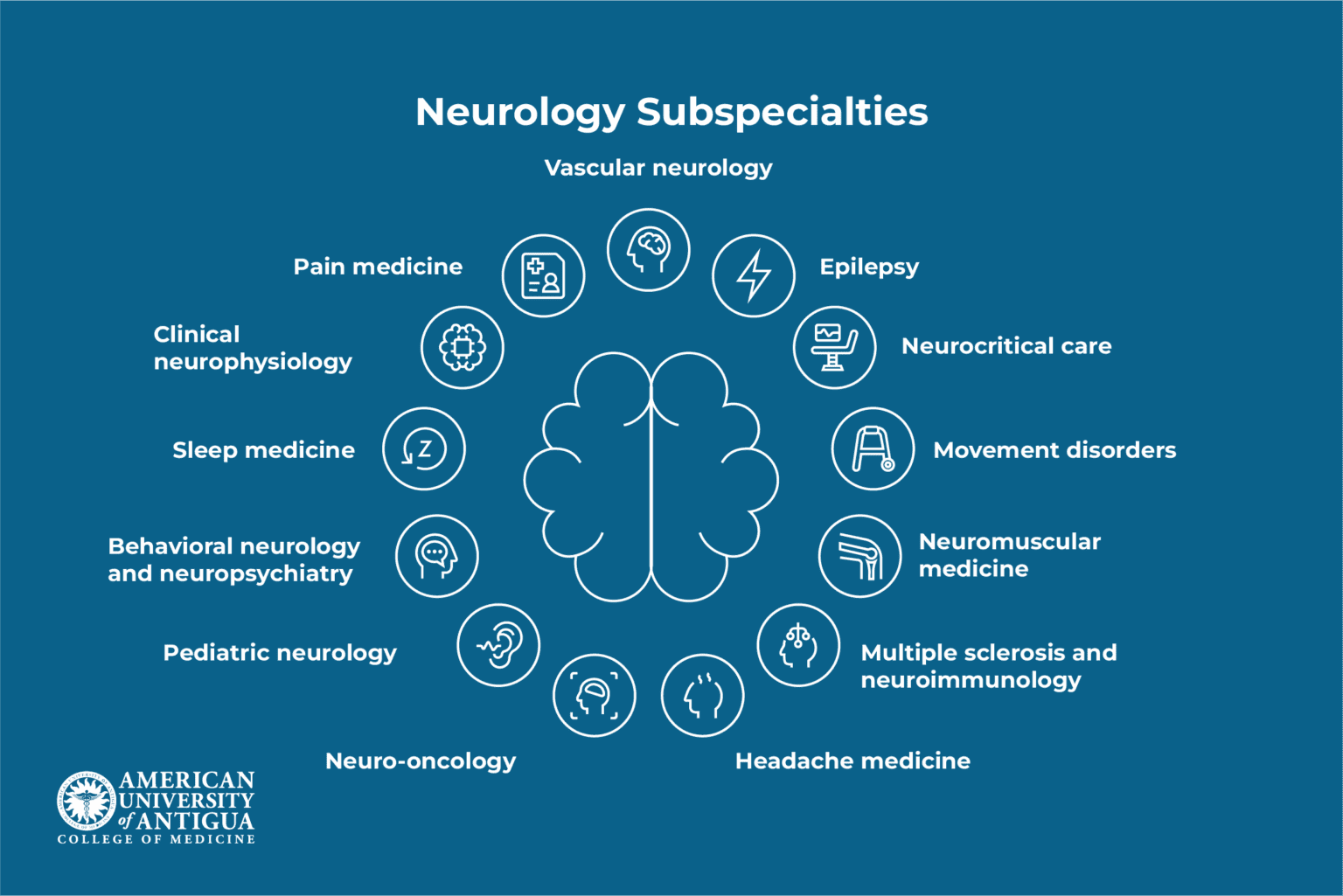 Neurology Subspecialties: Areas, Focus, and Careers - American ...