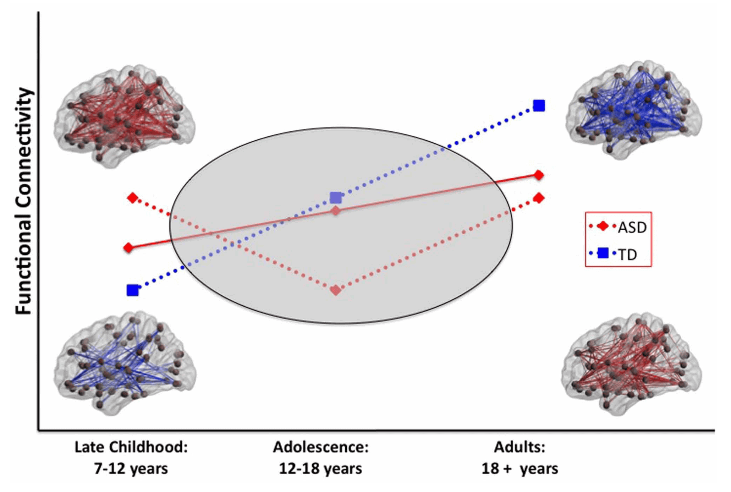 What Can Teachers Learn from the Autistic Brain - TeacherToolkit