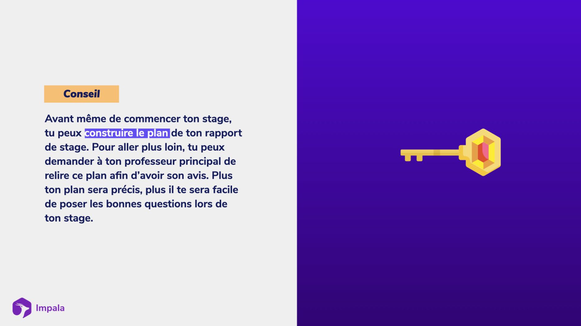 Rapport de stage 3eme : tout pour accompagner ses élèves.