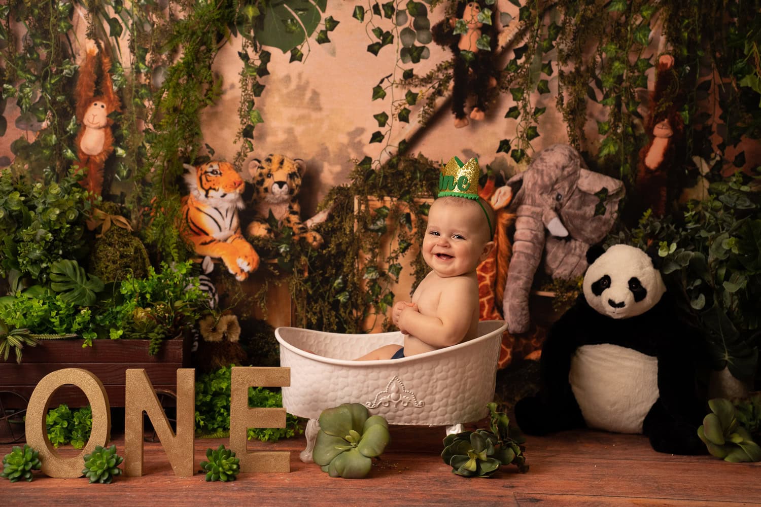 Wild One | Cake Smash Photography, Washington D.C.