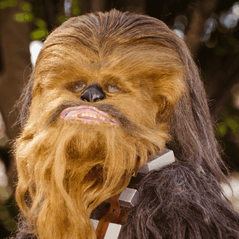 35 Chewbacca Gifts for the-Rawwwwr! - Nerdy Mamma
