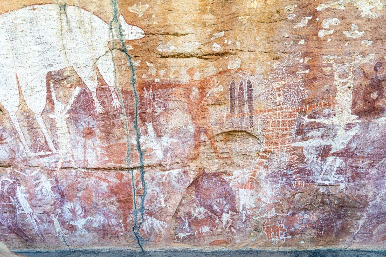 Quinkan rock art tour near Laura, Queensland