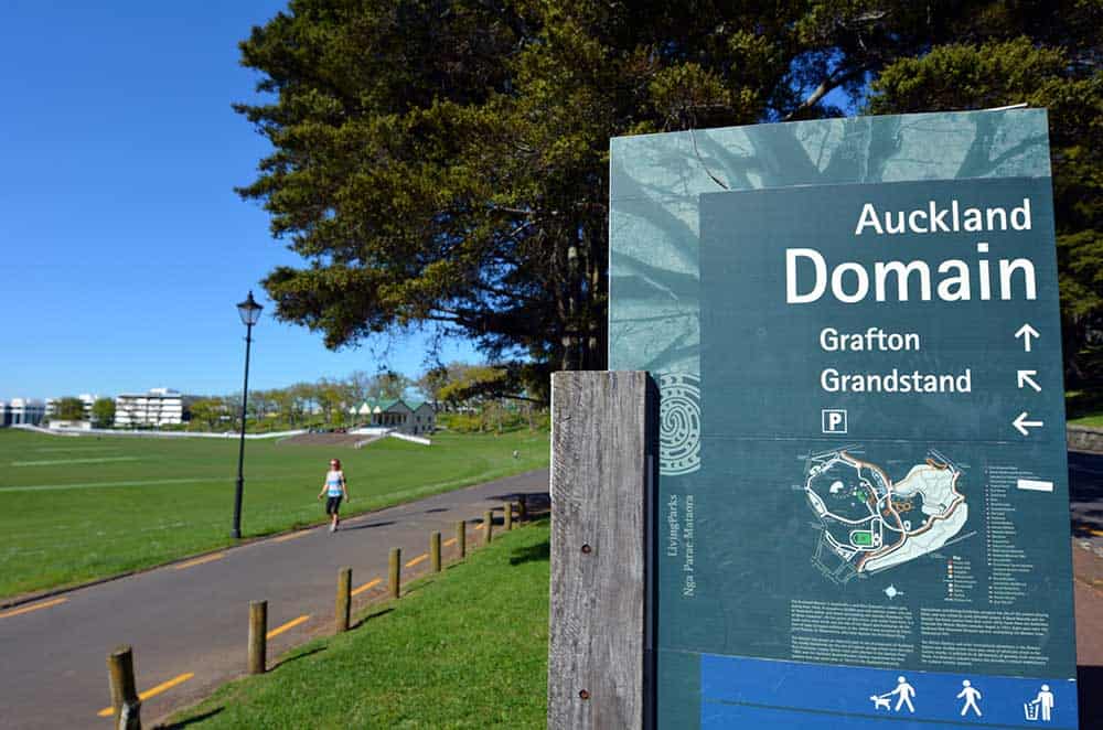 One Day in Auckland: A Complete 1-Day Itinerary for 2020