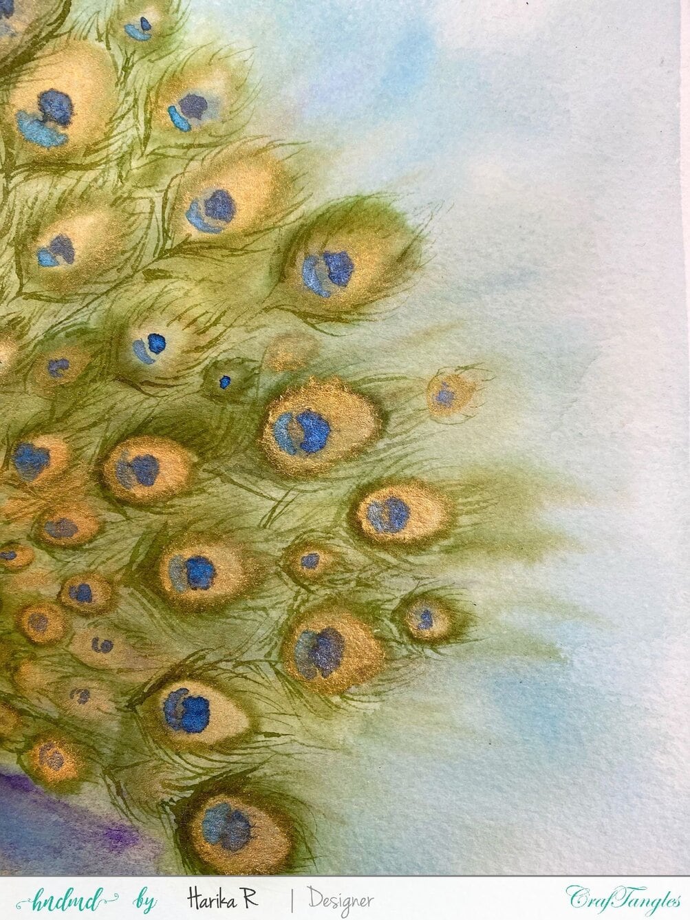 Easy Beautiful Peacock Painting Discounts Factory | www.pinnaxis.com