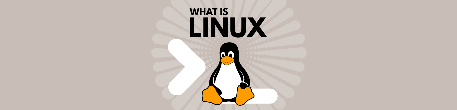 Linux Operating System