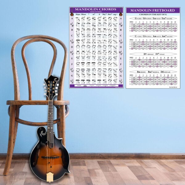 Mandola Chord Fretboard Instructional Wall Chart Poster