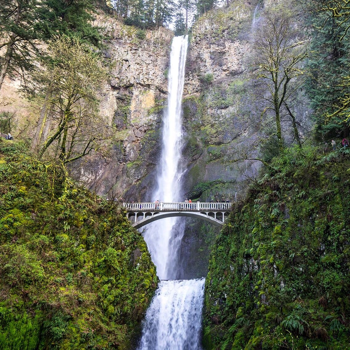 multnomah falls temperature