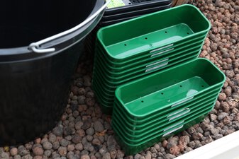 Alpine Seed Sowing | Beginner's Alpine Diary - Alpine Garden Society