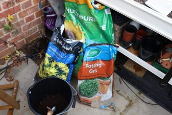 Alpine Seed Sowing | Beginner's Alpine Diary - Alpine Garden Society