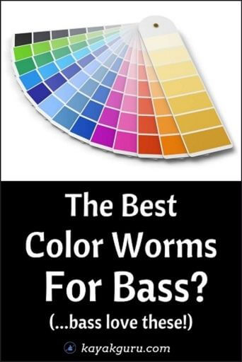 What Color Plastic Worm For Bass Fishing? | (Includes A Colored Chart)