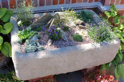 alpine plant borders