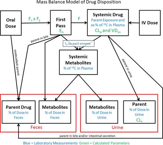 Certara | Human Radiolabeled Mass-balance Studies in Drug Development
