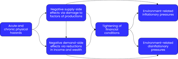 The economic impacts of climate change call for inflation targeting ...