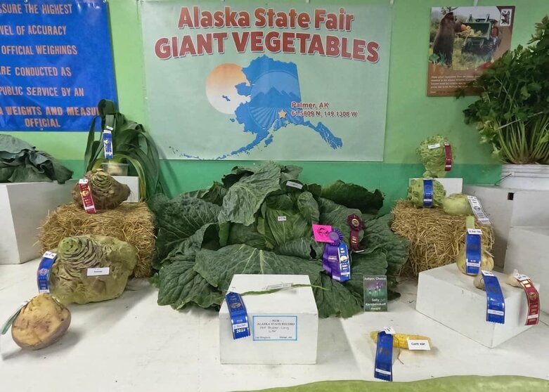 Alaska State Fair Produce Alaska State Fair Vegetables By Django4 On