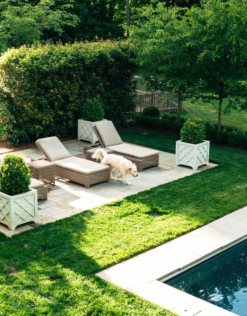 A Garden for the Ages | Peachy the Magazine