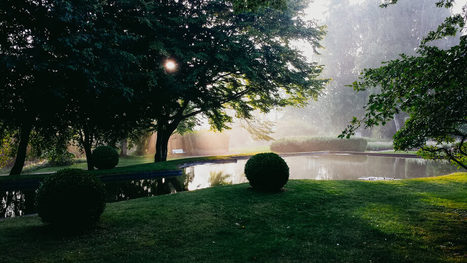 Explore the Magnificent Gardens of Norrviken
