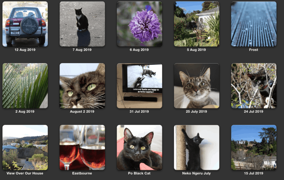 cat pictures folder