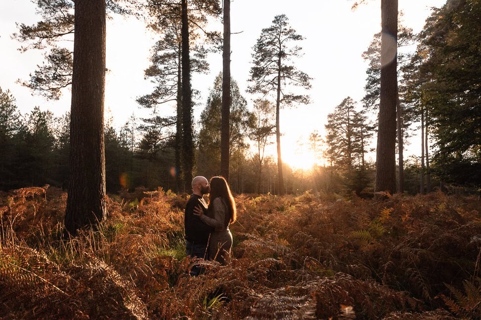 Forest Sunset Sunset New Forest England – Beautiful Wall Mural
