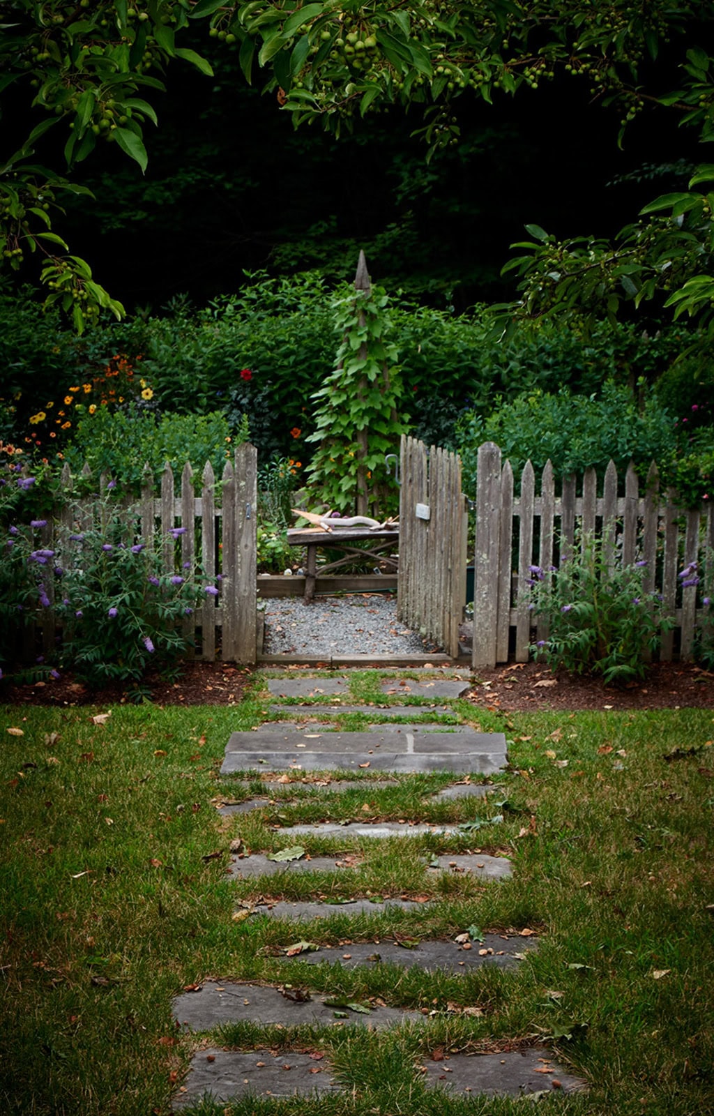 Wooded Mountain Landscaping Ideas Our Garden In The NM Mountains