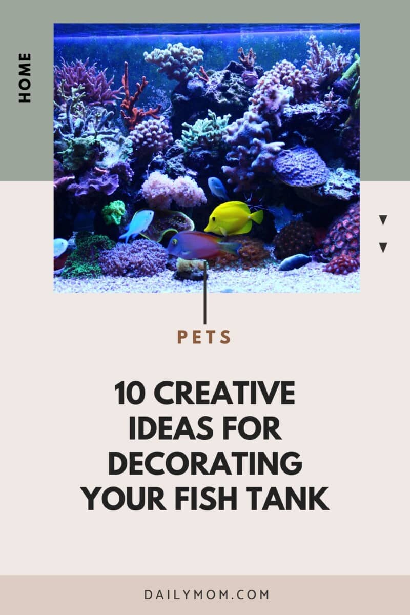 fishtank creative