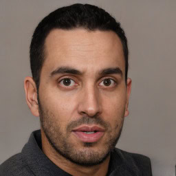 Flat Fee Movers Lutz