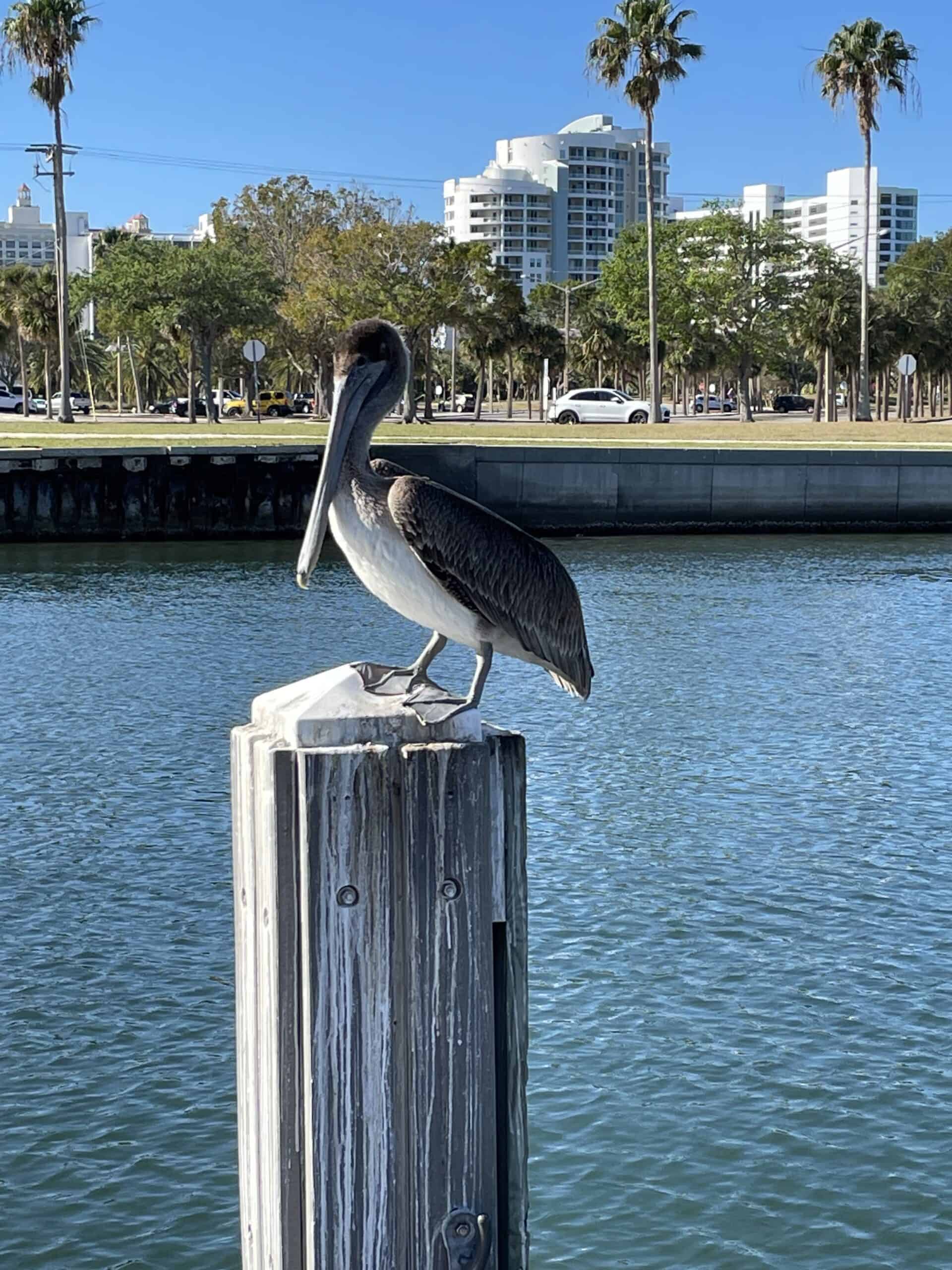 Photo Gallery - Four Keys Charters