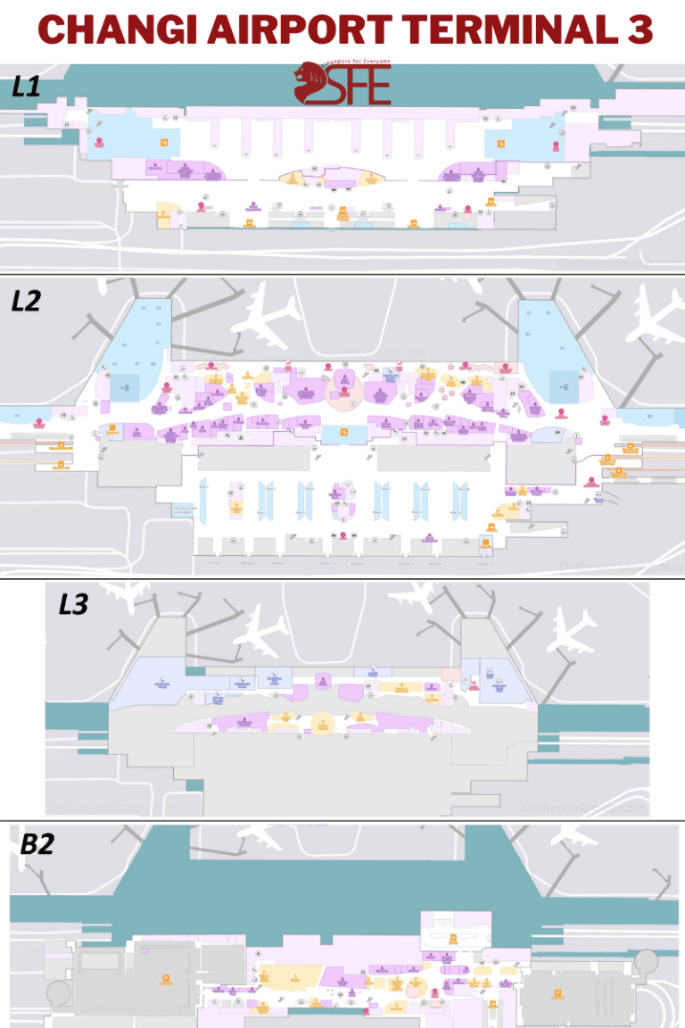 Ultimate Guide of Terminal 3 Changi Airport: Comprehensive Floor-by ...