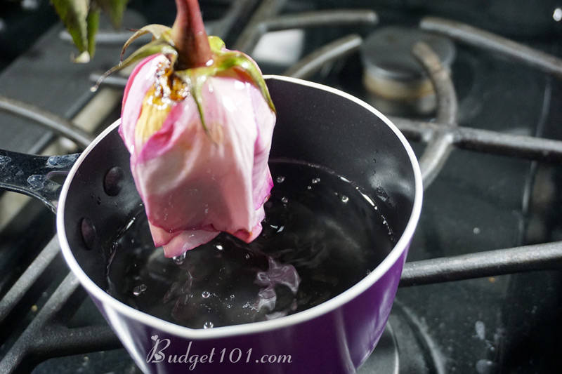 Wax Dipped Flowers | How to Preserve a Rose with Wax