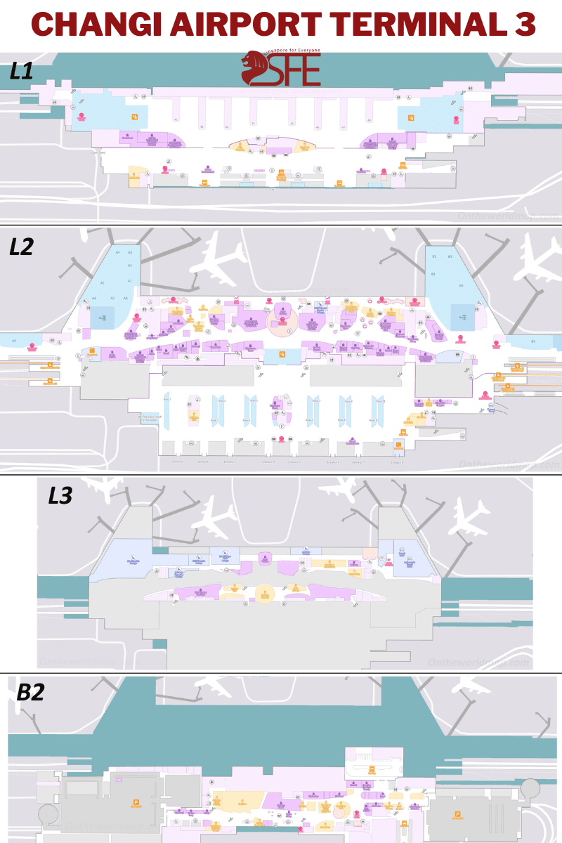 Ultimate Guide of Terminal 3 Changi Airport: Comprehensive Floor-by ...
