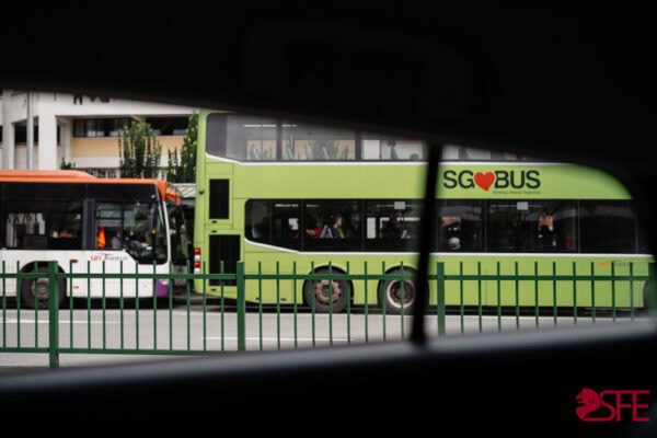 How to Use Bus in Singapore: A Comprehensive Guide for Seamless Travel ...