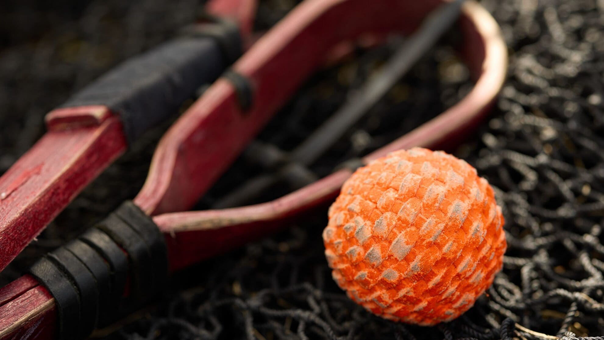 We are Competitors - Together We're More