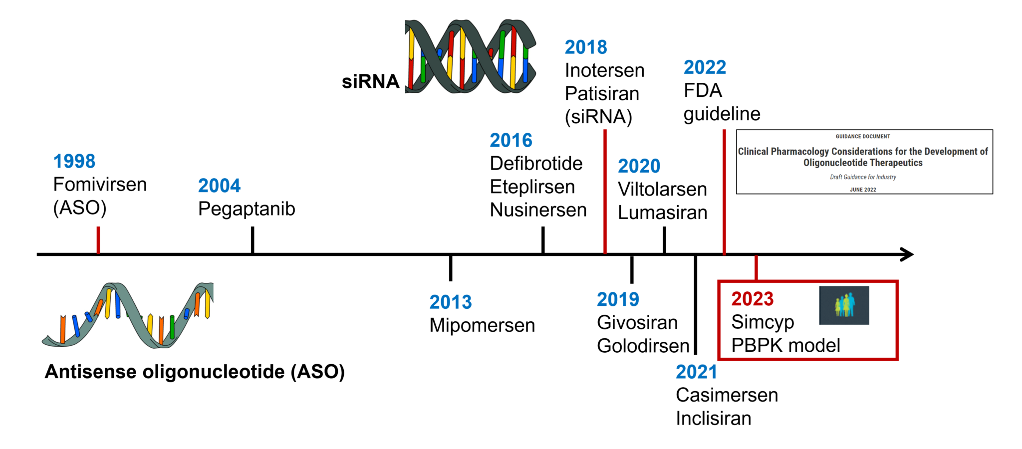PBPK Modeling & Simulation of Therapeutic Oligonucleotides | Certara