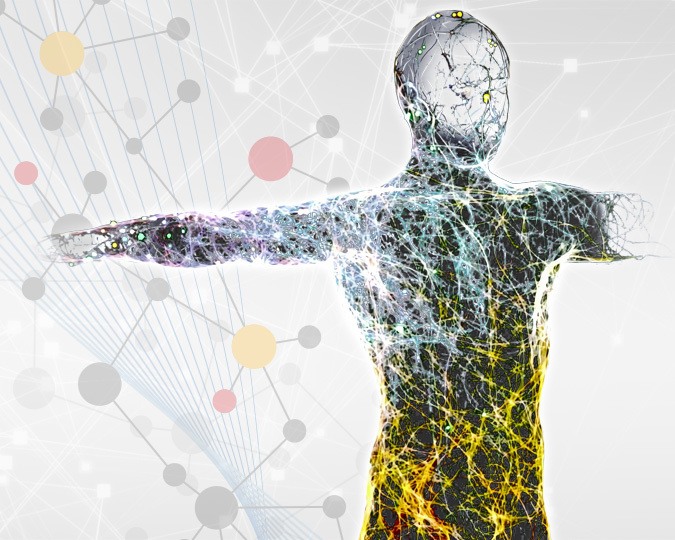 Biosimulation Software | PBPK | QSP | NCA | NLME | IVIVC