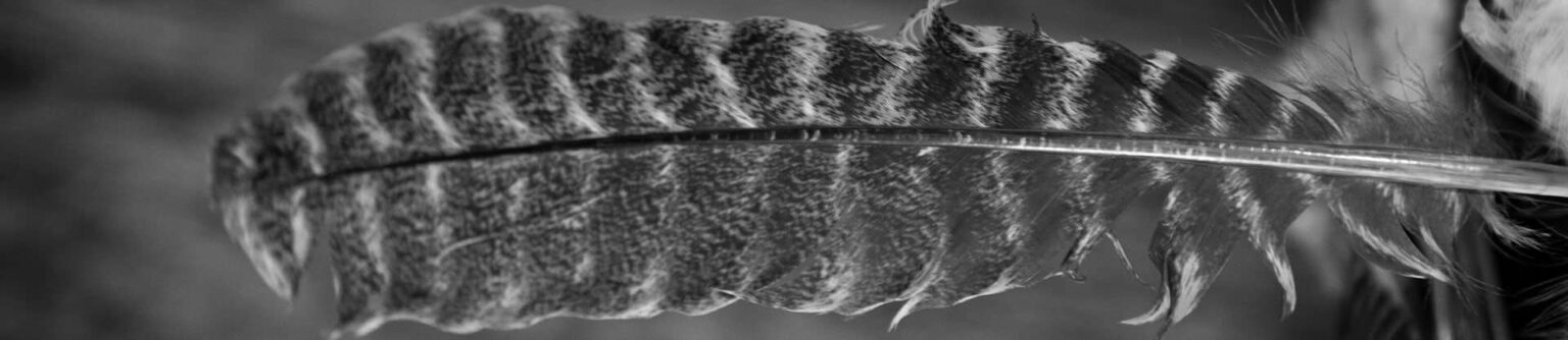 Choctaw Nation Wildlife Conservation Releases Annual Big Game Report ...