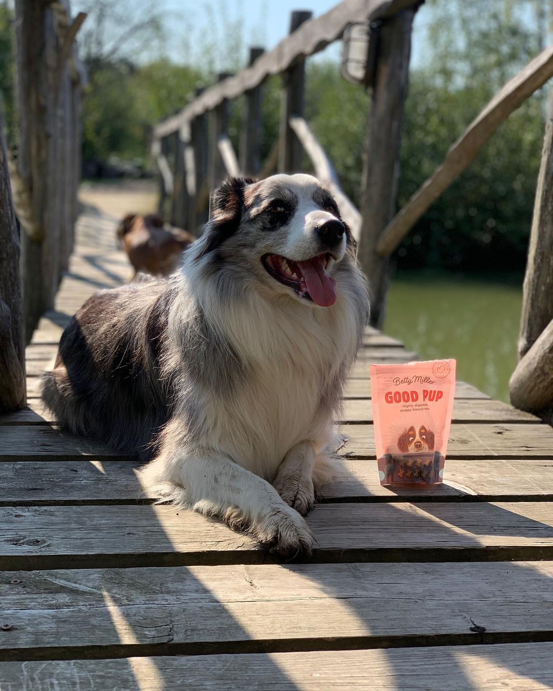Good Pup hondenkoekjes 100g - Betty Miller – Wilde Wolf