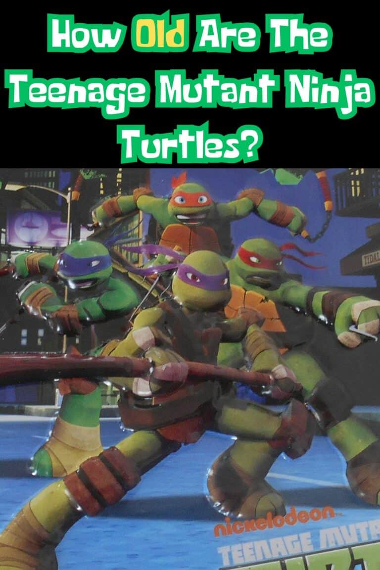 How Old Are The Teenage Mutant Ninja Turtles? | 8-Bit Pickle