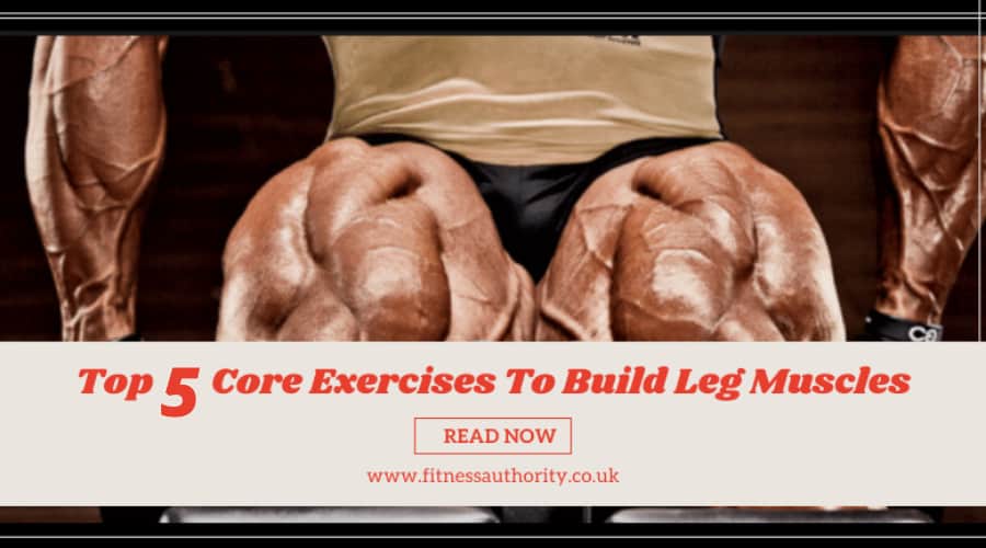 Top 10 Core Exercises To Build Leg Muscles - [EXPERT GUIDE]