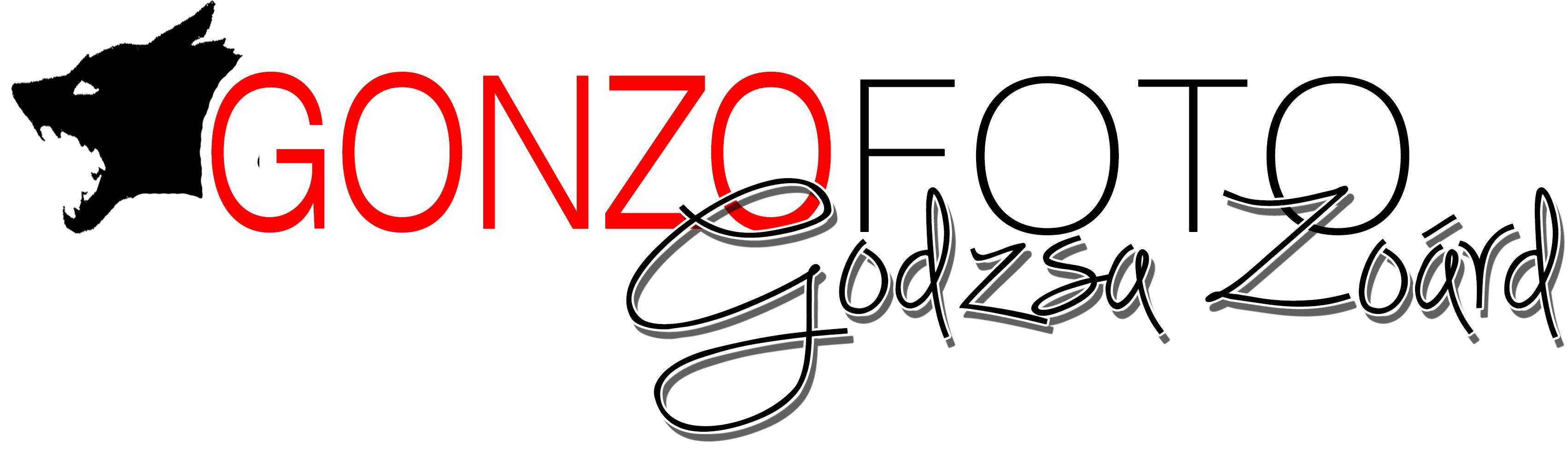 gonzo-logo — godzsa.hu