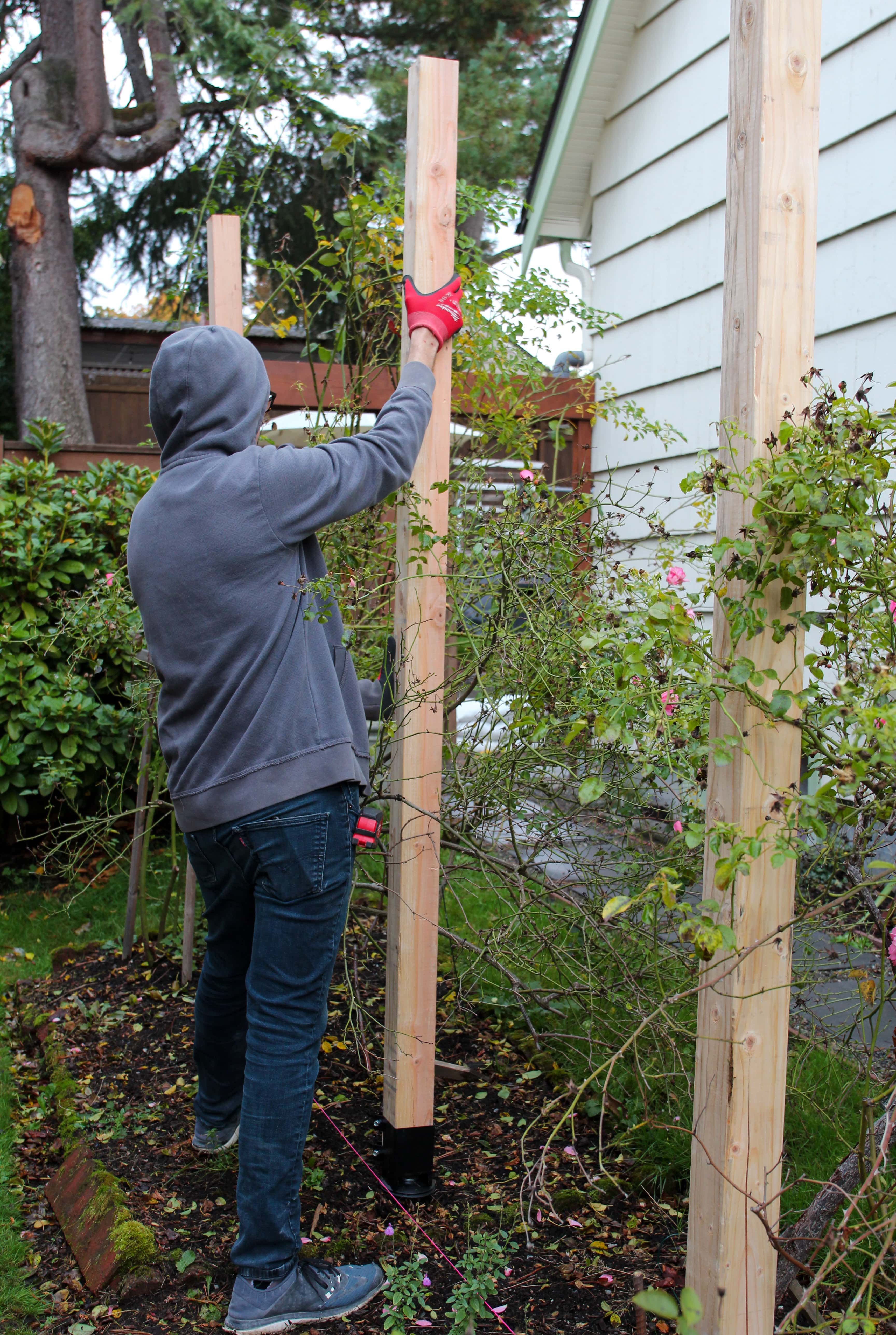 DIY Side Yard Walkway Pergola - This Dear Casa