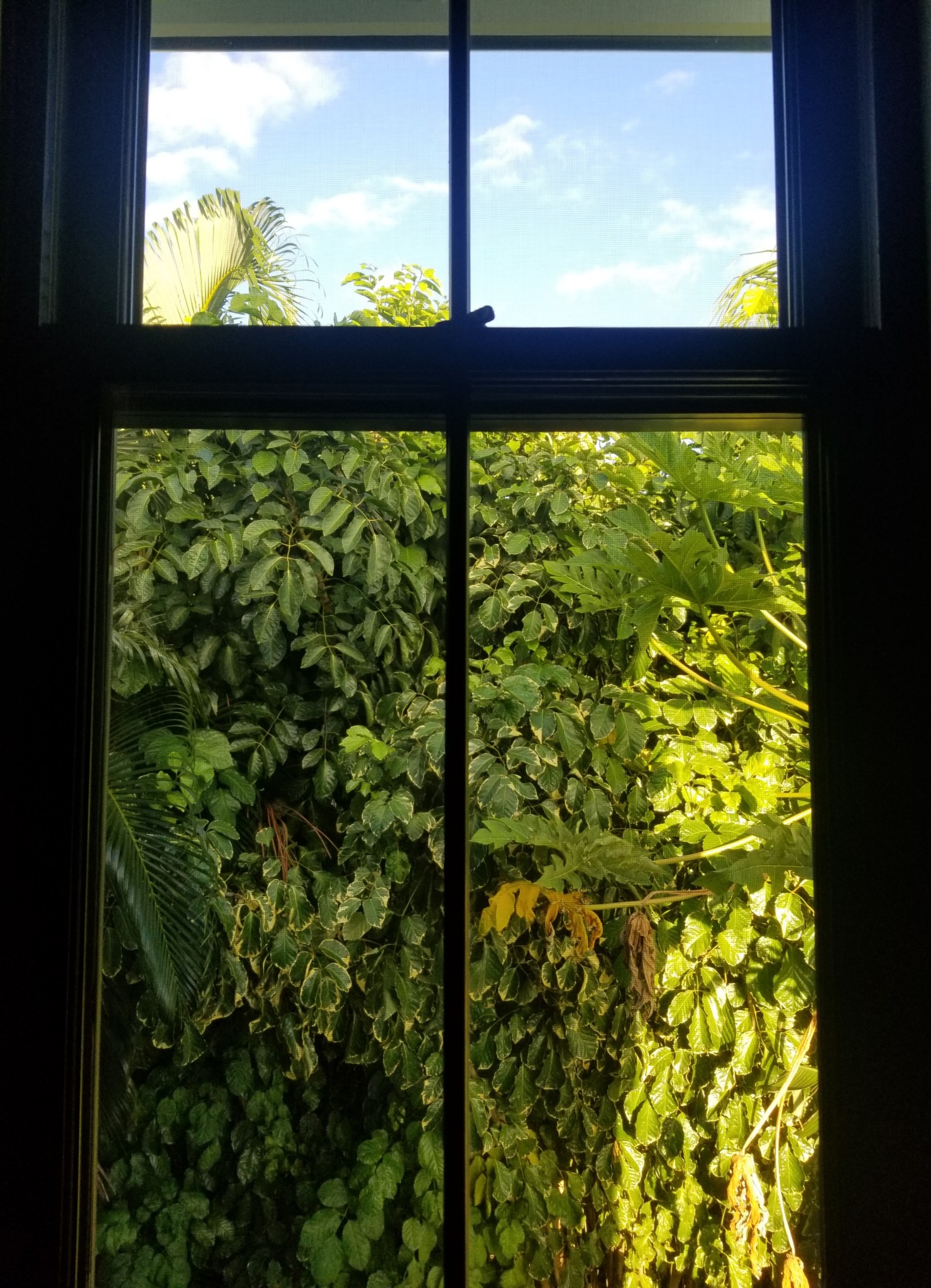 8 Tropical Home Decor Ideas - This Dear Casa