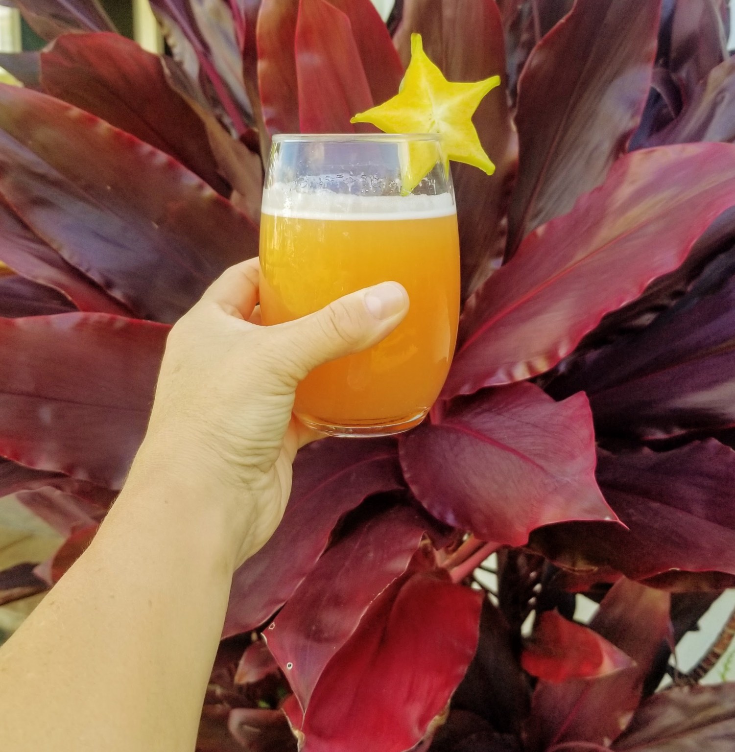 How to Cut a Starfruit - This Dear Casa