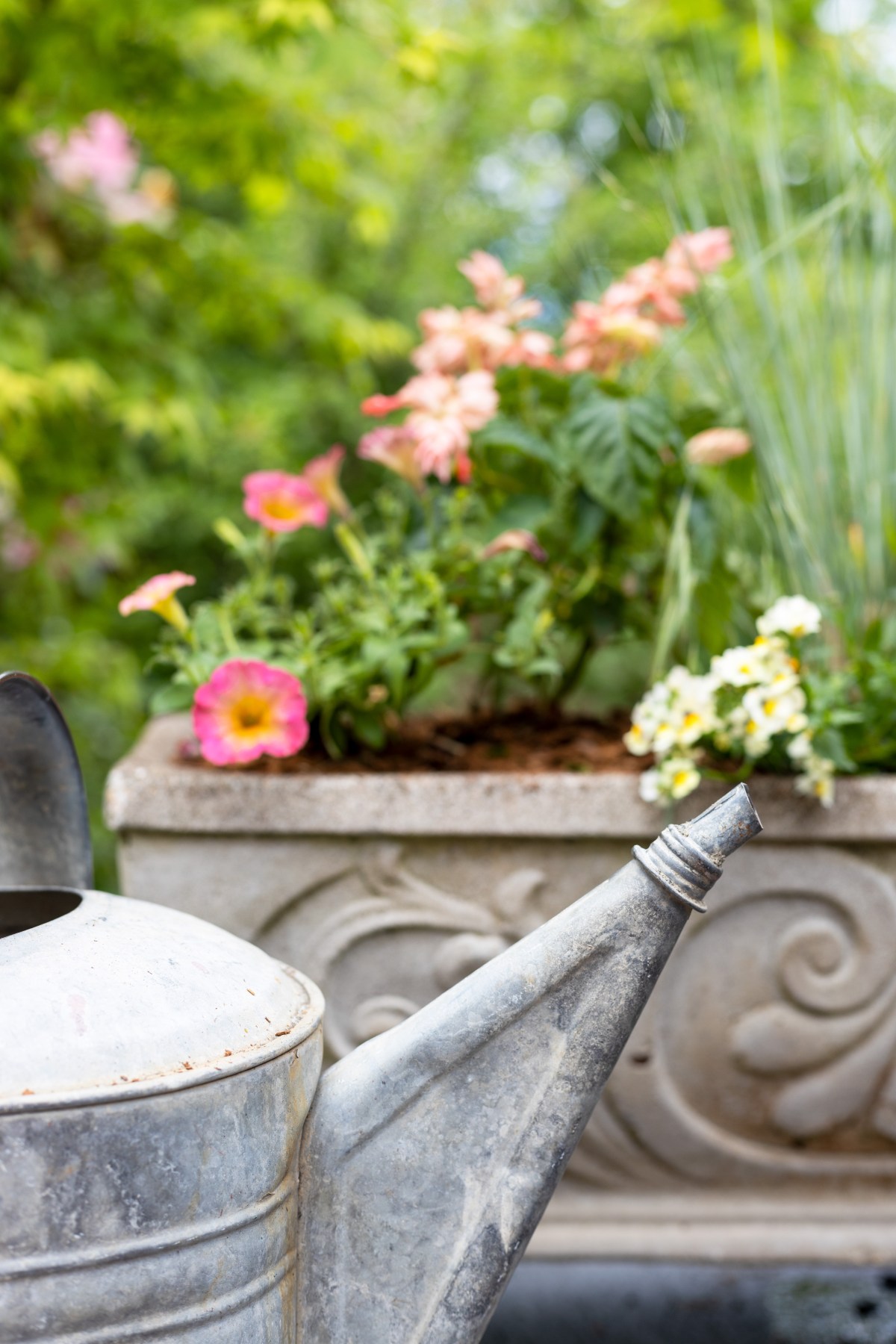 How to Create Stunning Container Gardens for Your Home - This Dear Casa