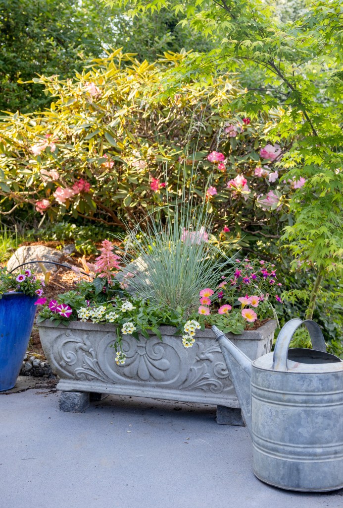 How to Create Stunning Container Gardens for Your Home - This Dear Casa